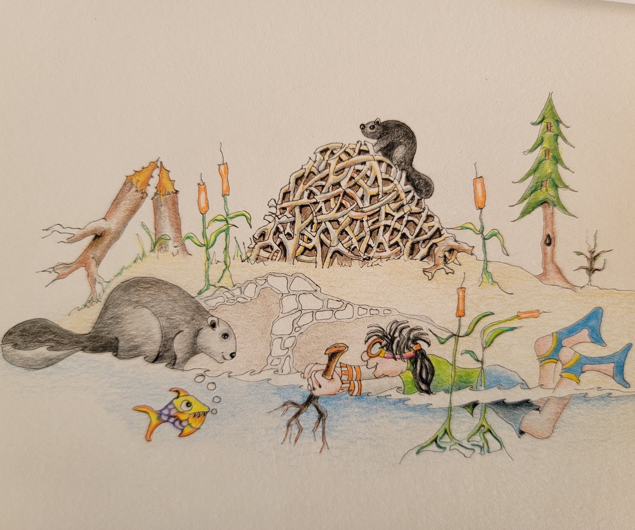 Education Archives » OHA | Okanogan Highlands Alliance