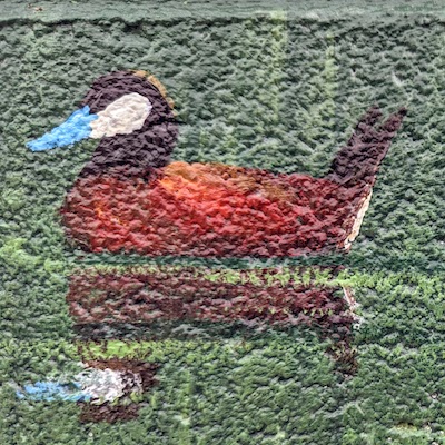 The Wildlife of the Highlands » OHA | Okanogan Highlands Alliance